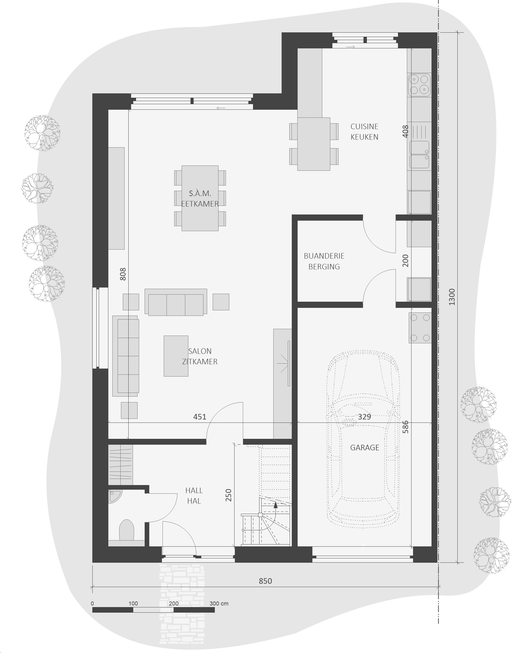 Salsa - TEAM construct