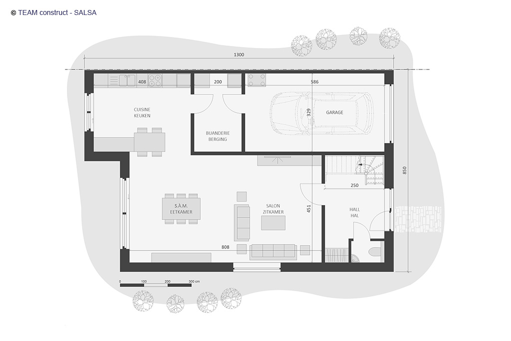 Salsa - TEAM construct